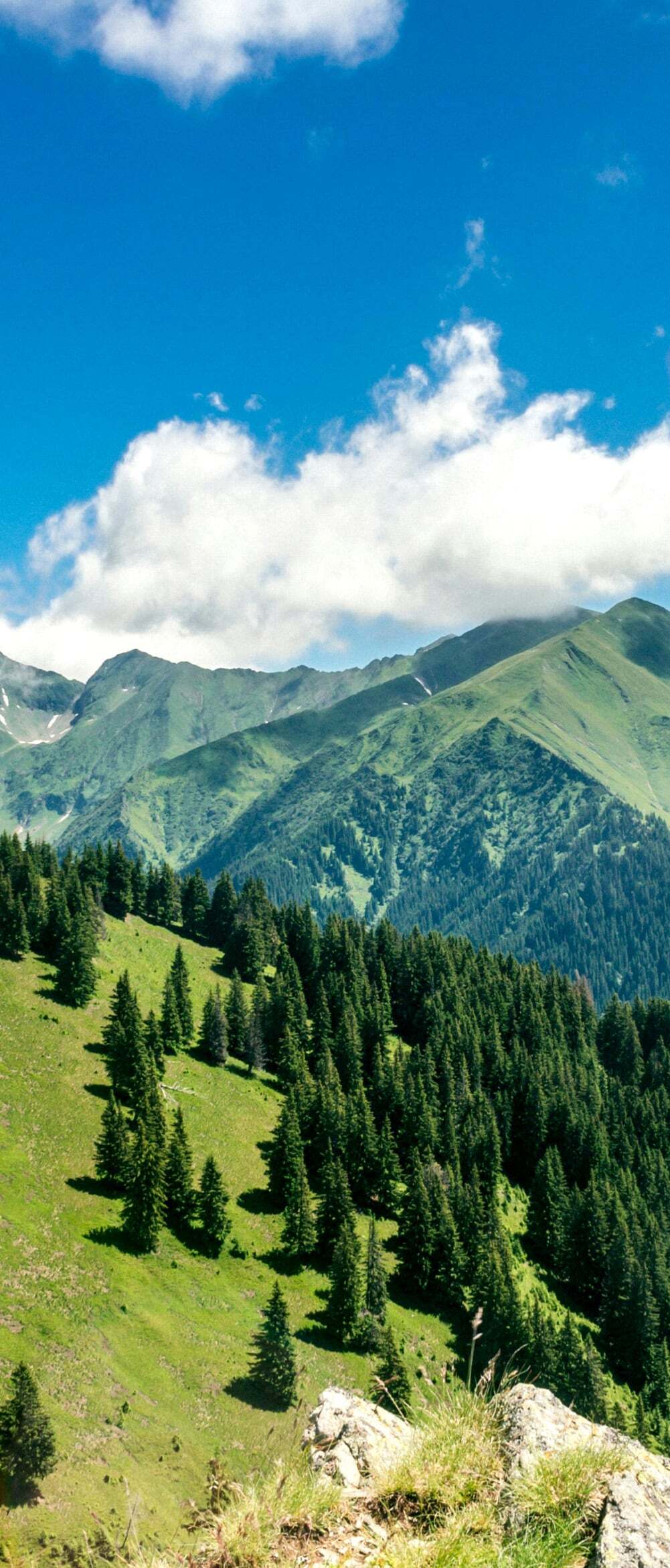 Offwork: Reward your team with travel